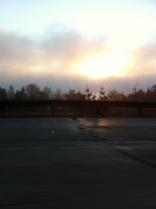 Forest Commuter Poems – Suzanne Davenport Tietjen